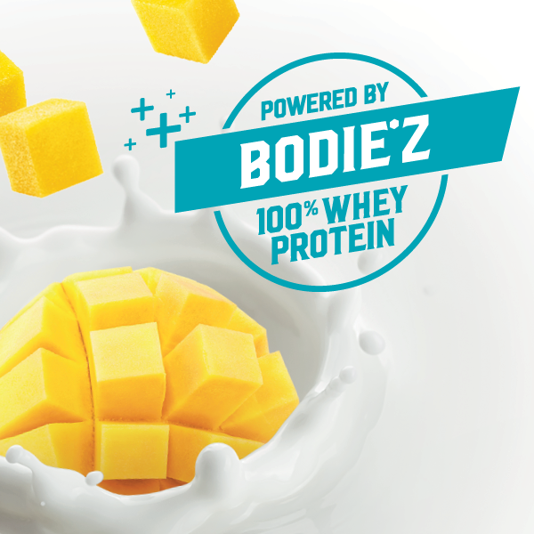 Noshu | Product - Mango & Cream Protein Bars